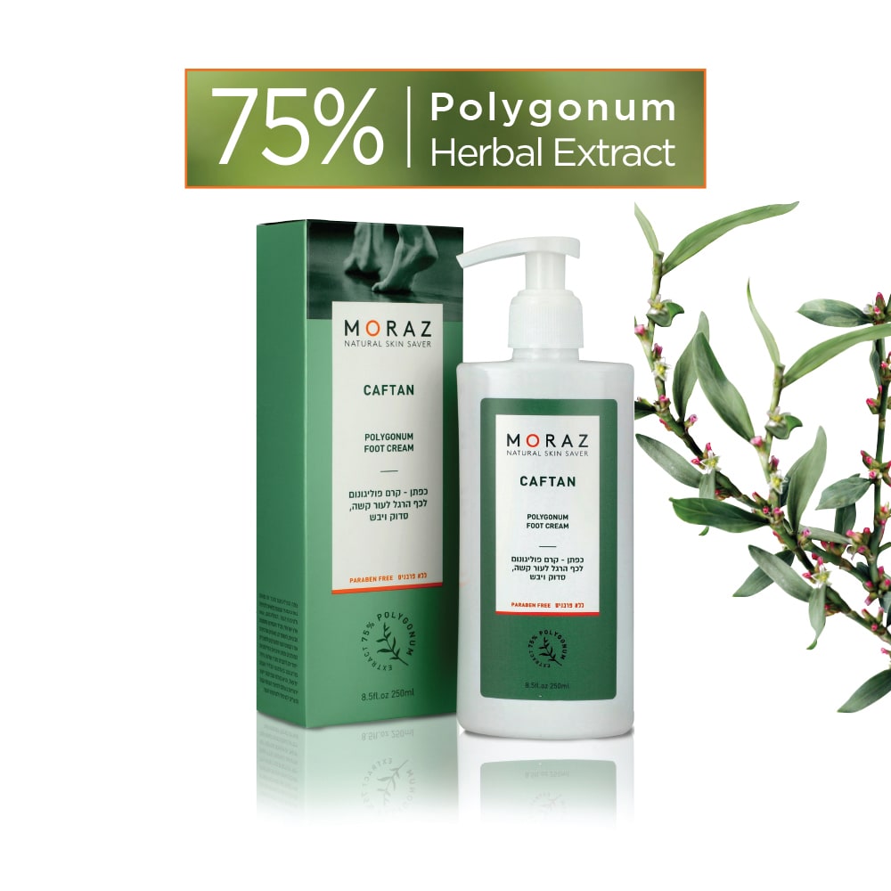 Home - Moraz - Extract | Nature