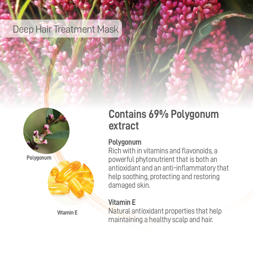 Polygonum Deep Hair Treatment Mask - Moraz Herbal Extracts