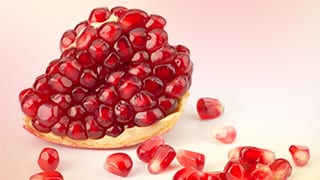 Knowledge - Moraz - Extract | Nature