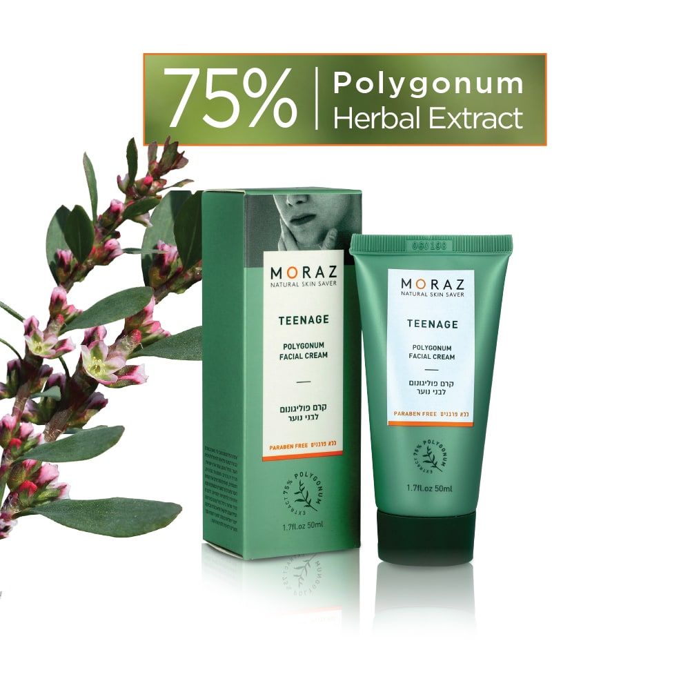 Polygonum - Moraz - Extract | Nature