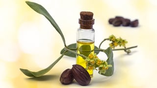 Knowledge - Moraz - Extract | Nature