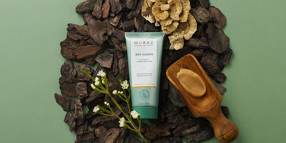 Home - Moraz - Extract | Nature