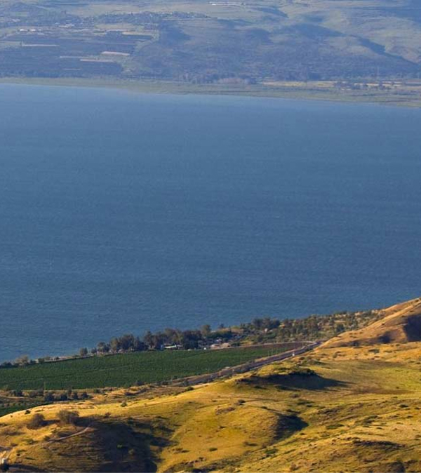 About Us v1 - Moraz Herbal Extracts